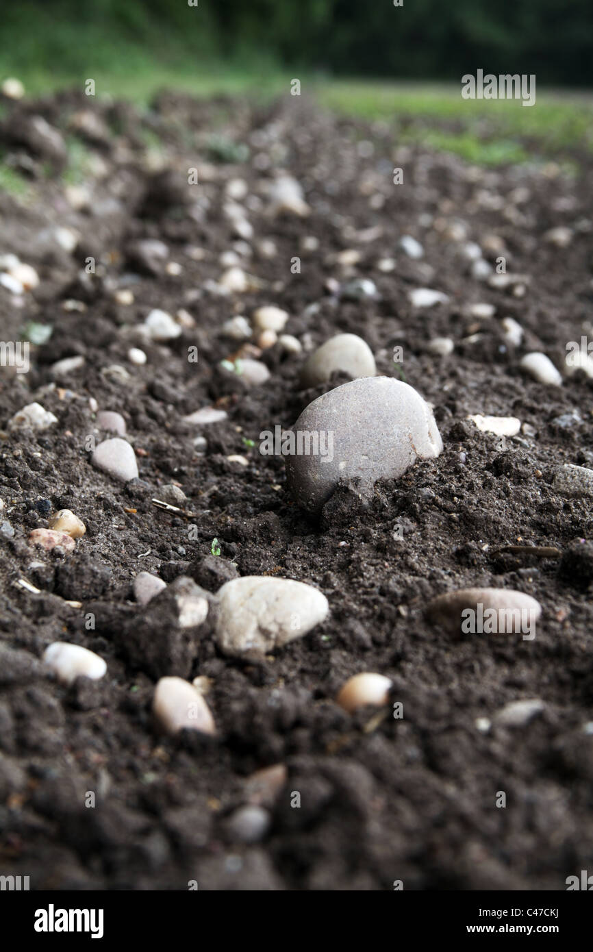 Ploughed field hi-res stock photography and images - Alamy