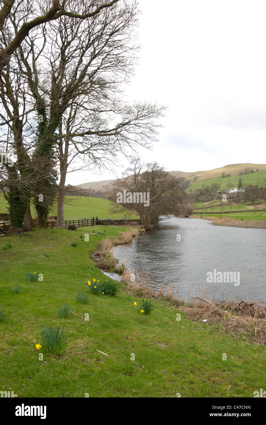 The River Kent, near Staveley, Cumbria Stock Photo - Alamy
