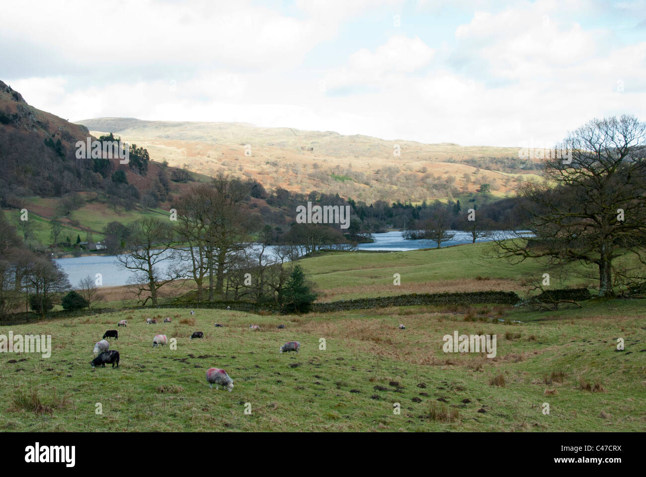View over Rydal Water, Cumbria Stock Photo - Alamy