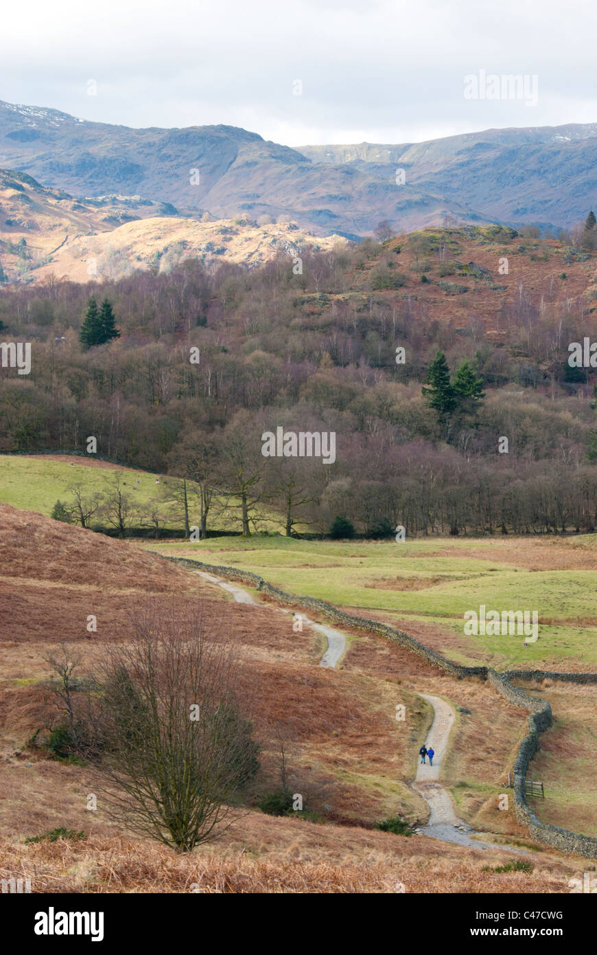 Walk around Rydal Water, Cumbria Stock Photo - Alamy