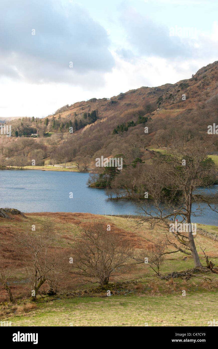 View over Rydal Water, Cumbria Stock Photo - Alamy