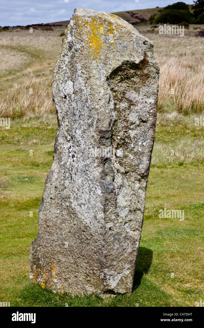 Old Meg standing stone at Mitchell's Fold Stone Circle near Bishop's ...