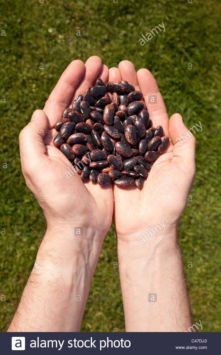 Giving Seeds High Resolution Stock Photography and Images - Alamy