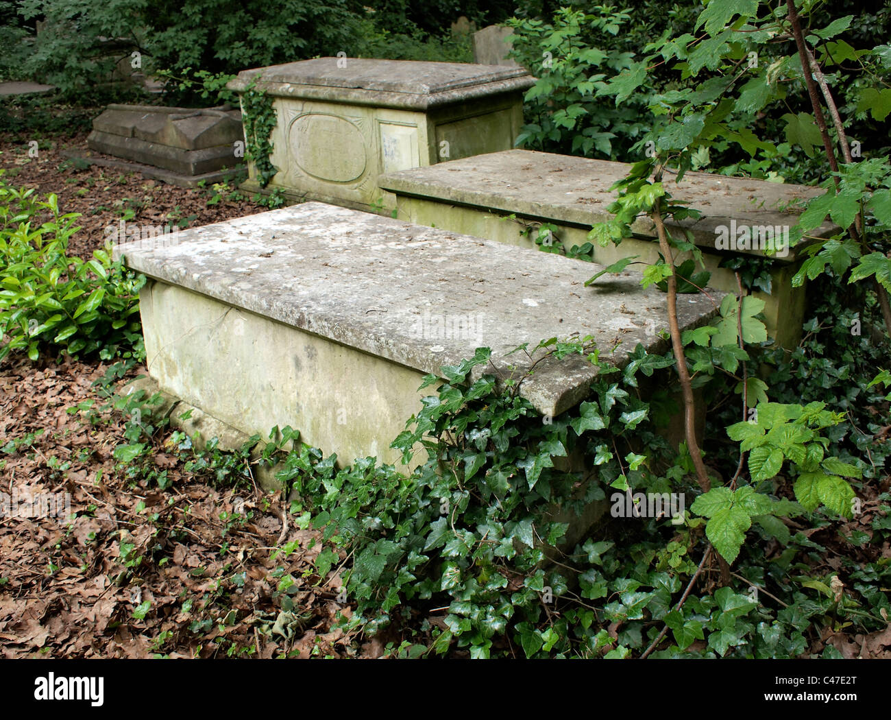 Old grave stones Stock Photo - Alamy