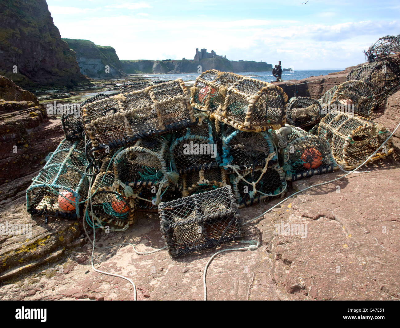 Scottish crab hi-res stock photography and images - Alamy