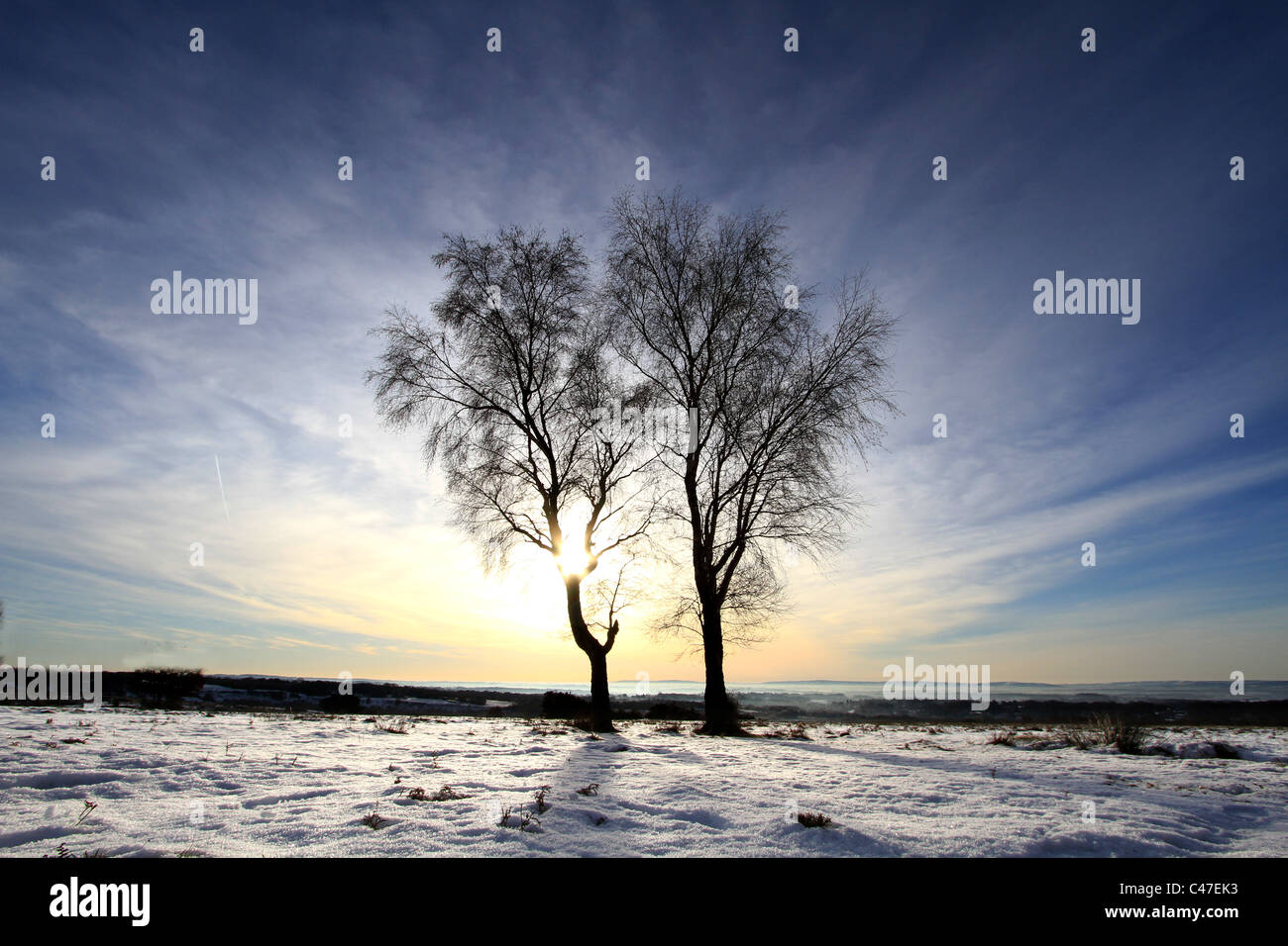 Ashdown forest snow hi-res stock photography and images - Alamy