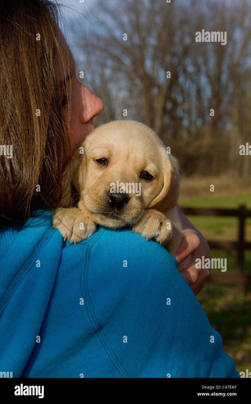 Young woman and Labrador retriever puppy Stock Photo - Alamy