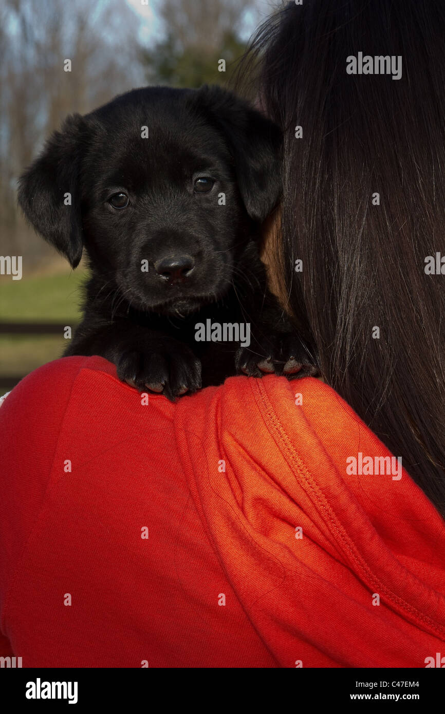 Woman holding man's shoulder hi-res stock photography and images - Alamy