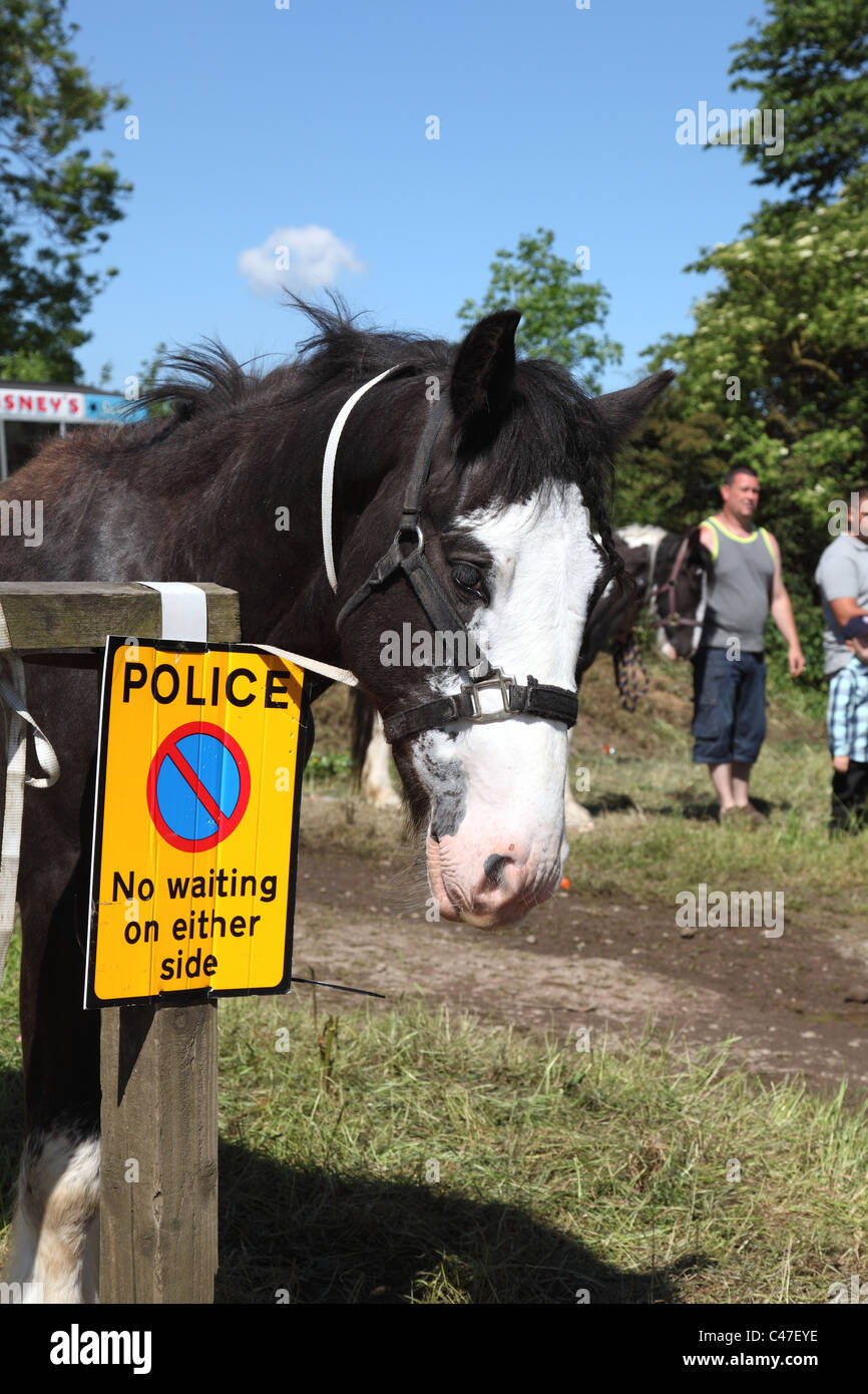 Horse fair road sign hi-res stock photography and images - Alamy