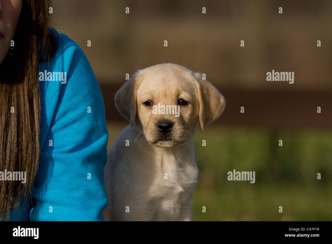 Woman is irresistible hi-res stock photography and images - Alamy