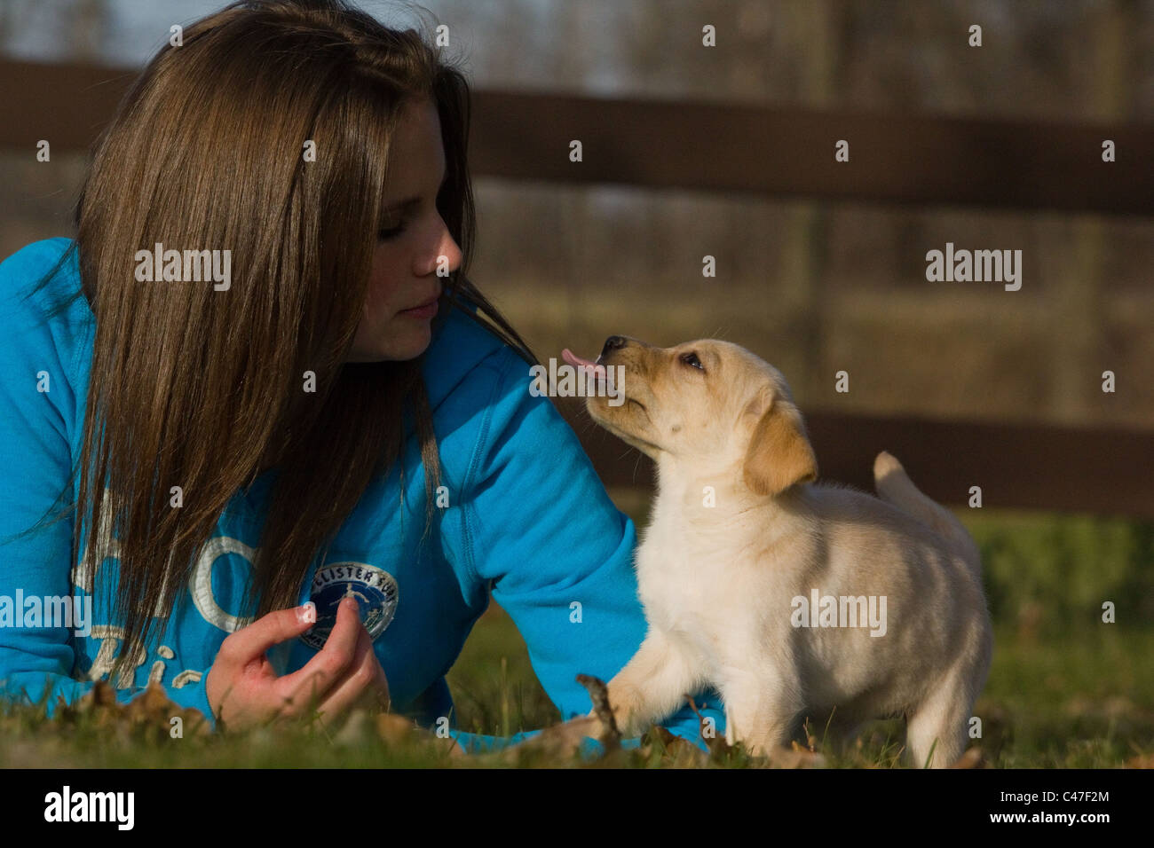 Young woman and Labrador retriever Stock Photo - Alamy