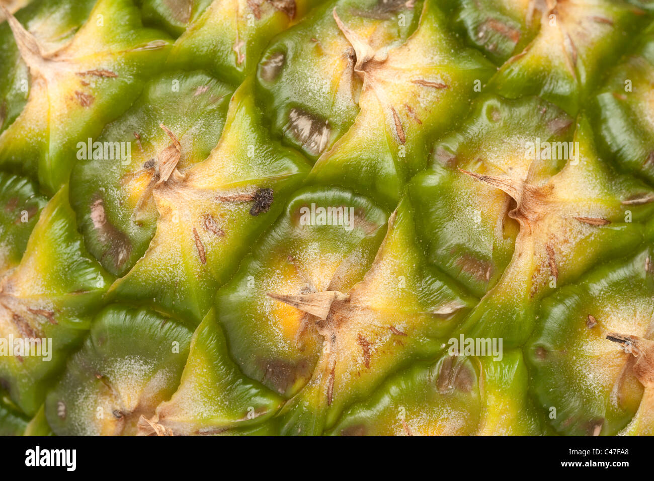 Close up pineapple skin hi-res stock photography and images - Alamy