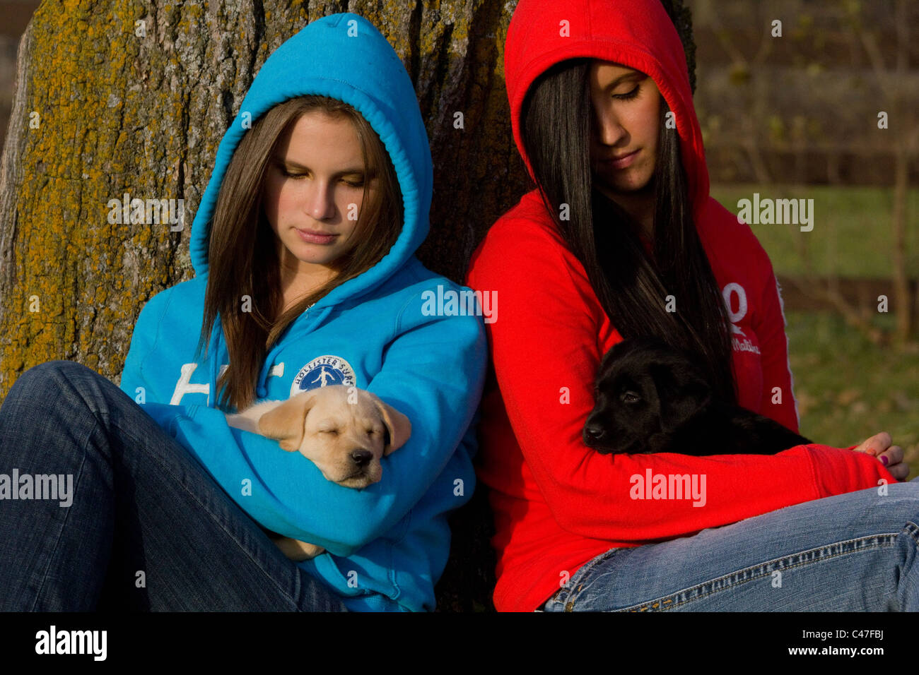 Two teen-aged girls hold Labrador retriever puppies Stock Photo - Alamy