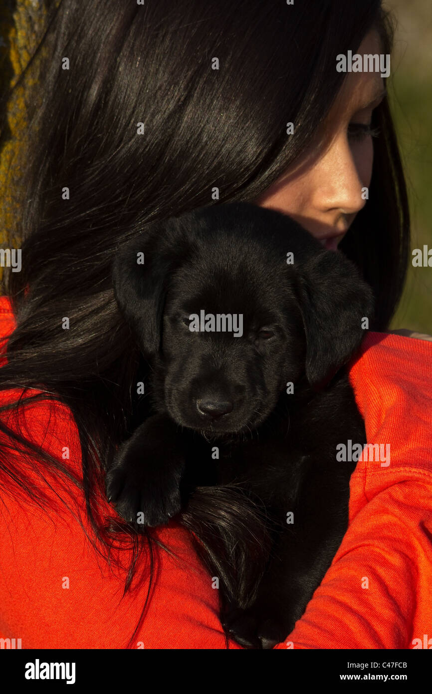 Young woman and Labrador retriever puppy Stock Photo - Alamy