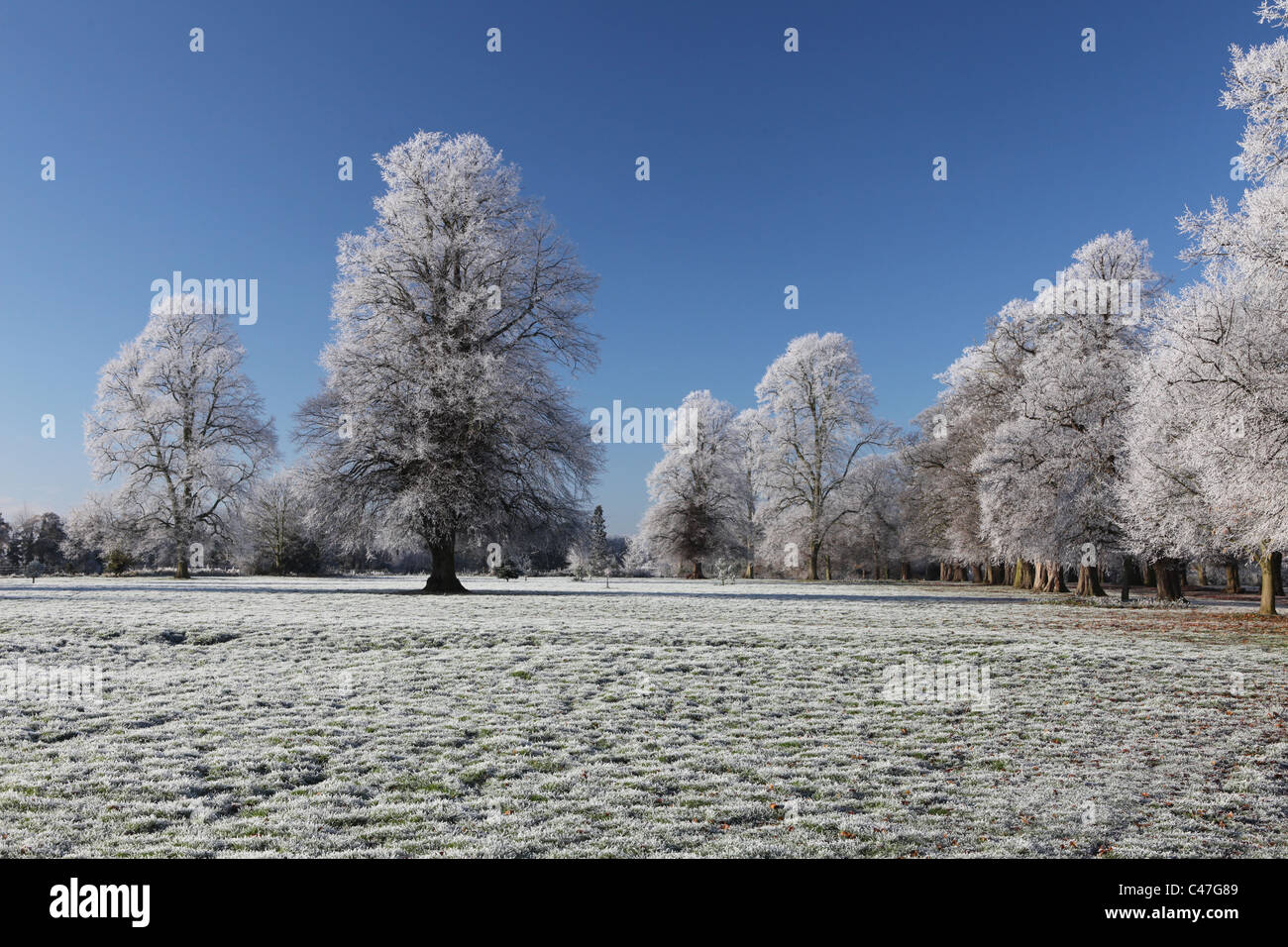 Parkland in Winter Stock Photo - Alamy