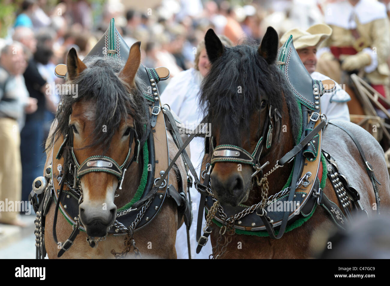 medieval event -Meistertrunk- with parade and dance in famous old city ...
