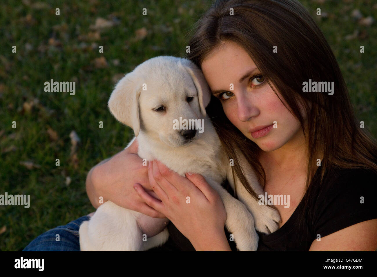 Hunter holding lab retriever puppy hi-res stock photography and images ...