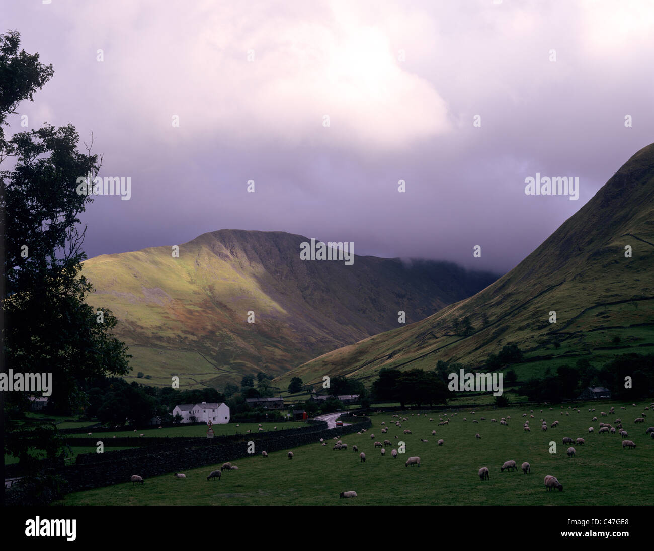 Gray Crag, Hartsop. The English Lake District Stock Photo - Alamy