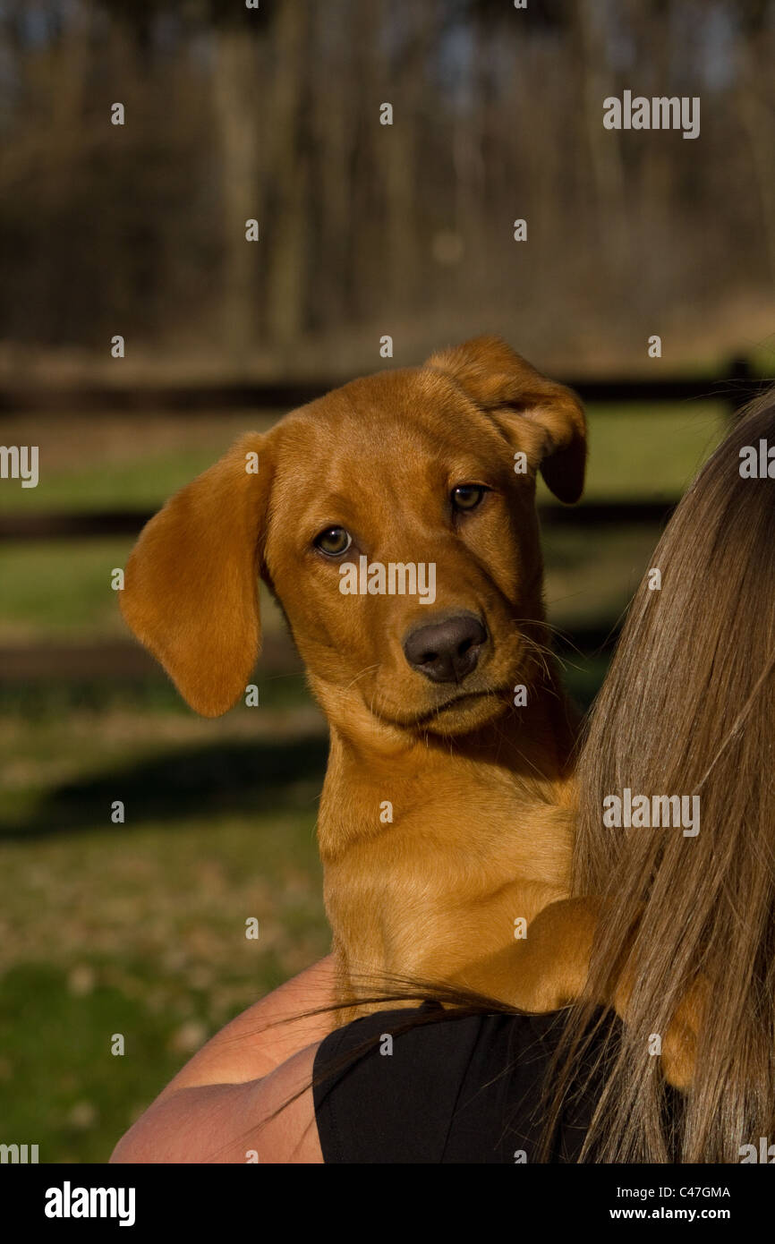 Woman holding man's shoulder hi-res stock photography and images - Alamy