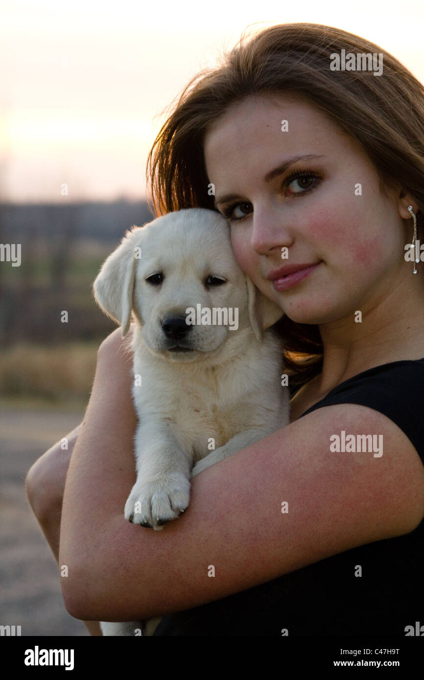 Cute lab hi-res stock photography and images - Alamy