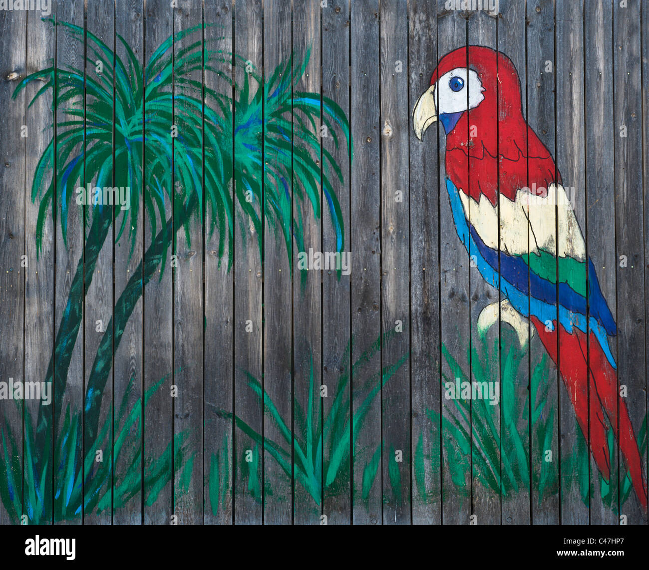 Parrot art hi-res stock photography and images - Alamy