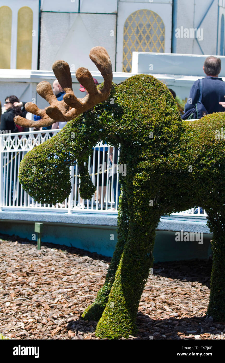 Bush in the shape of animal Disneyland Stock Photo - Alamy