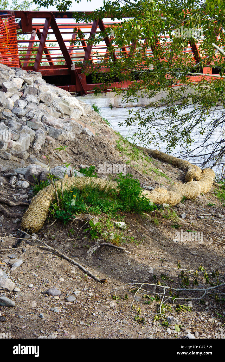 Coconut coir has been placed at the edge of a stream to revegetate the ...