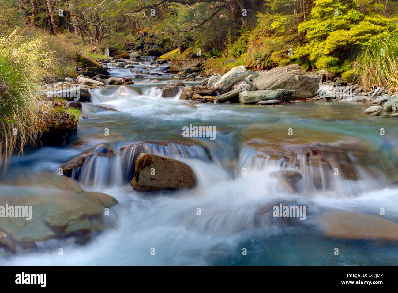 Beech creek hi-res stock photography and images - Alamy