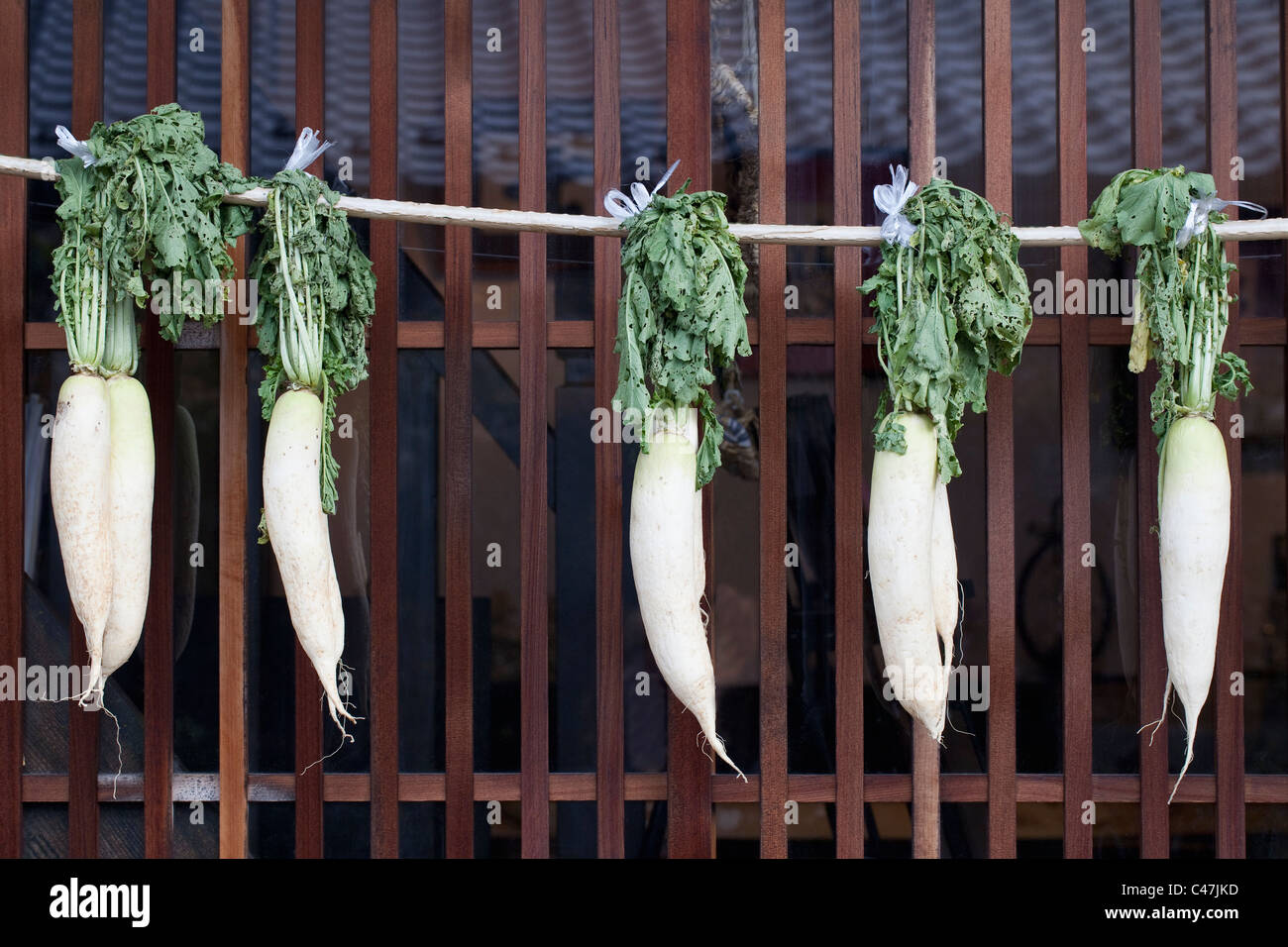 Giant radish hi-res stock photography and images - Alamy