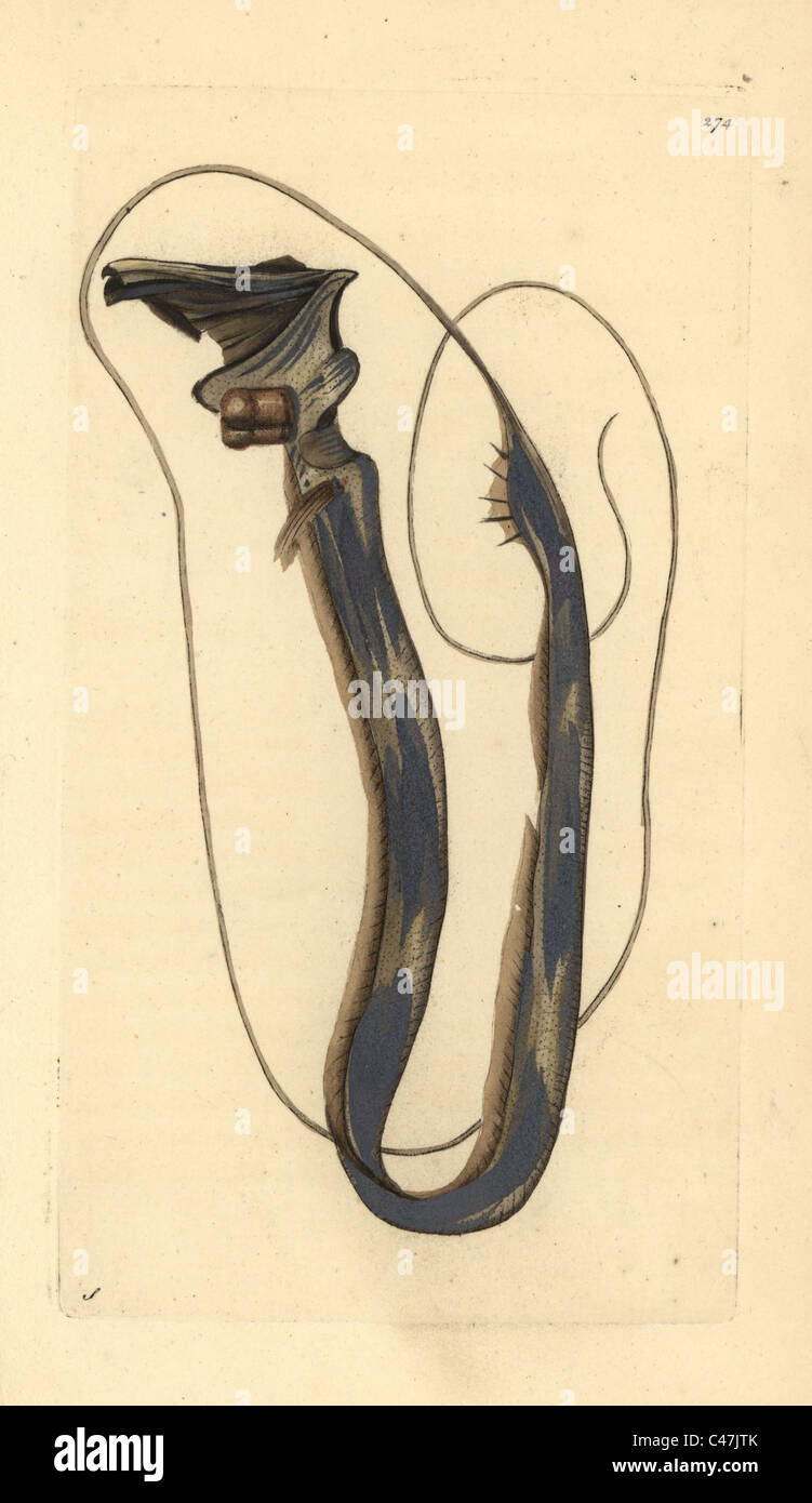 Tube Eye Thread Tail