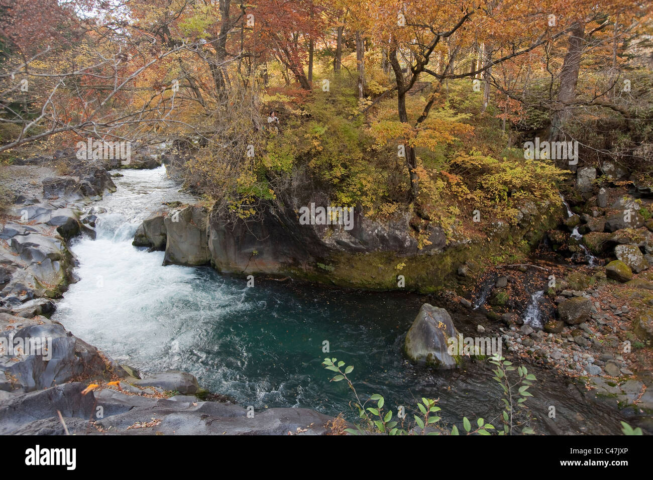 Woman with camera standing among trees near Daiya River on the way to ...