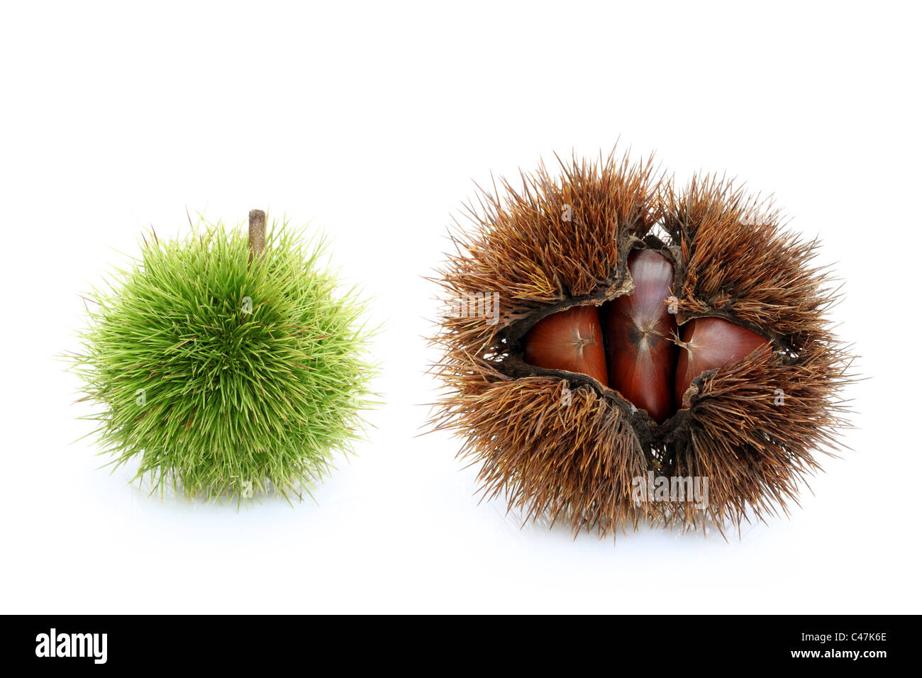 Seamless pattern in autumnal hi-res stock photography and images - Alamy