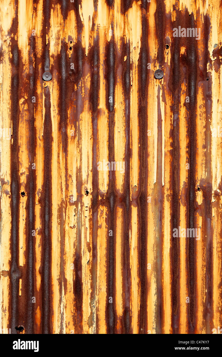 Rusted Corrugated Metal Texture
