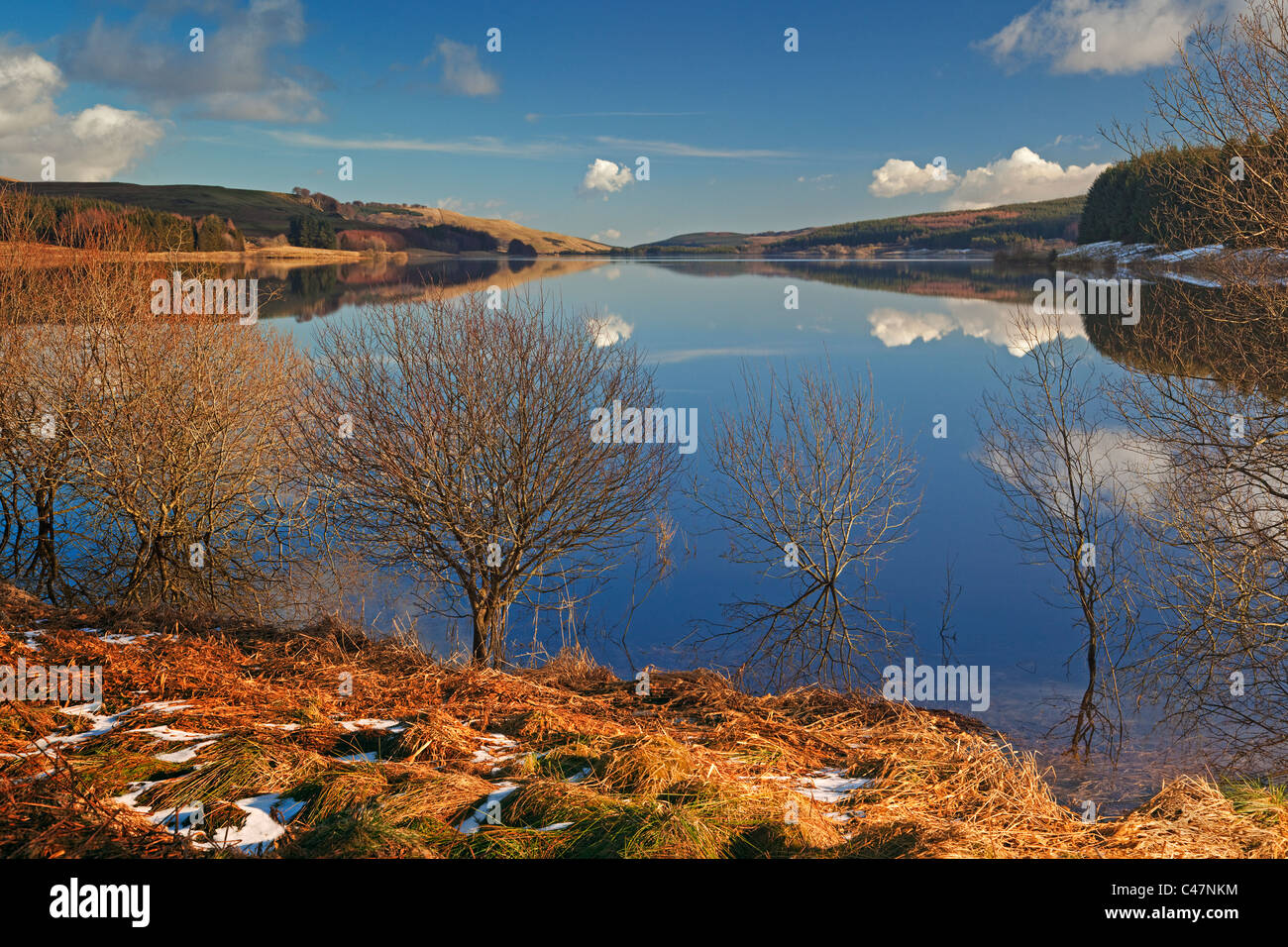 Denny scotland hi-res stock photography and images - Alamy