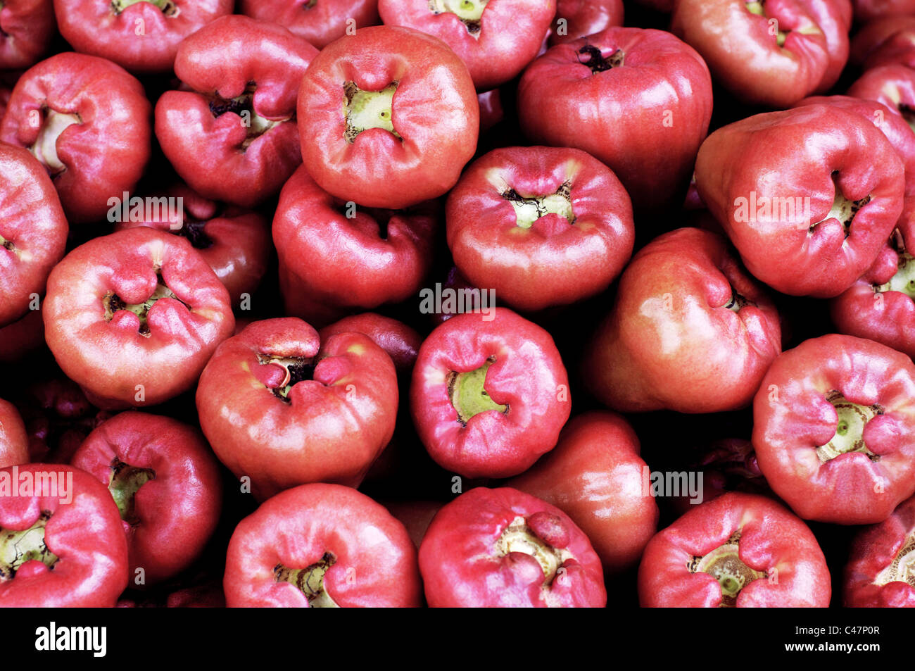 Close-up of water apples Stock Photo - Alamy