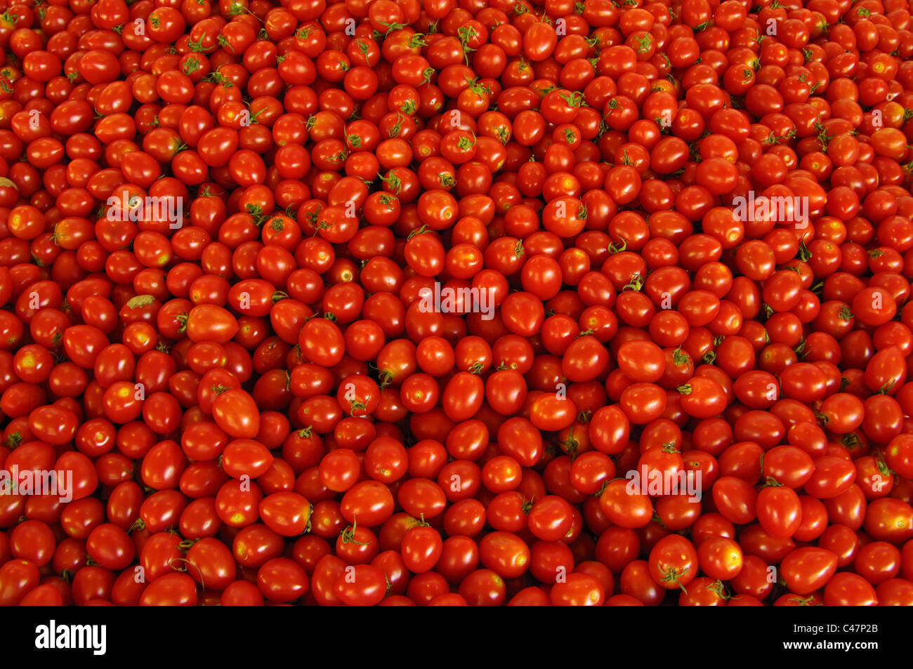 High angle view of red tomatoes Stock Photo - Alamy