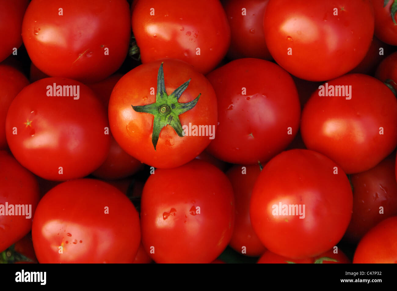 Close-up of red tomatoes Stock Photo - Alamy