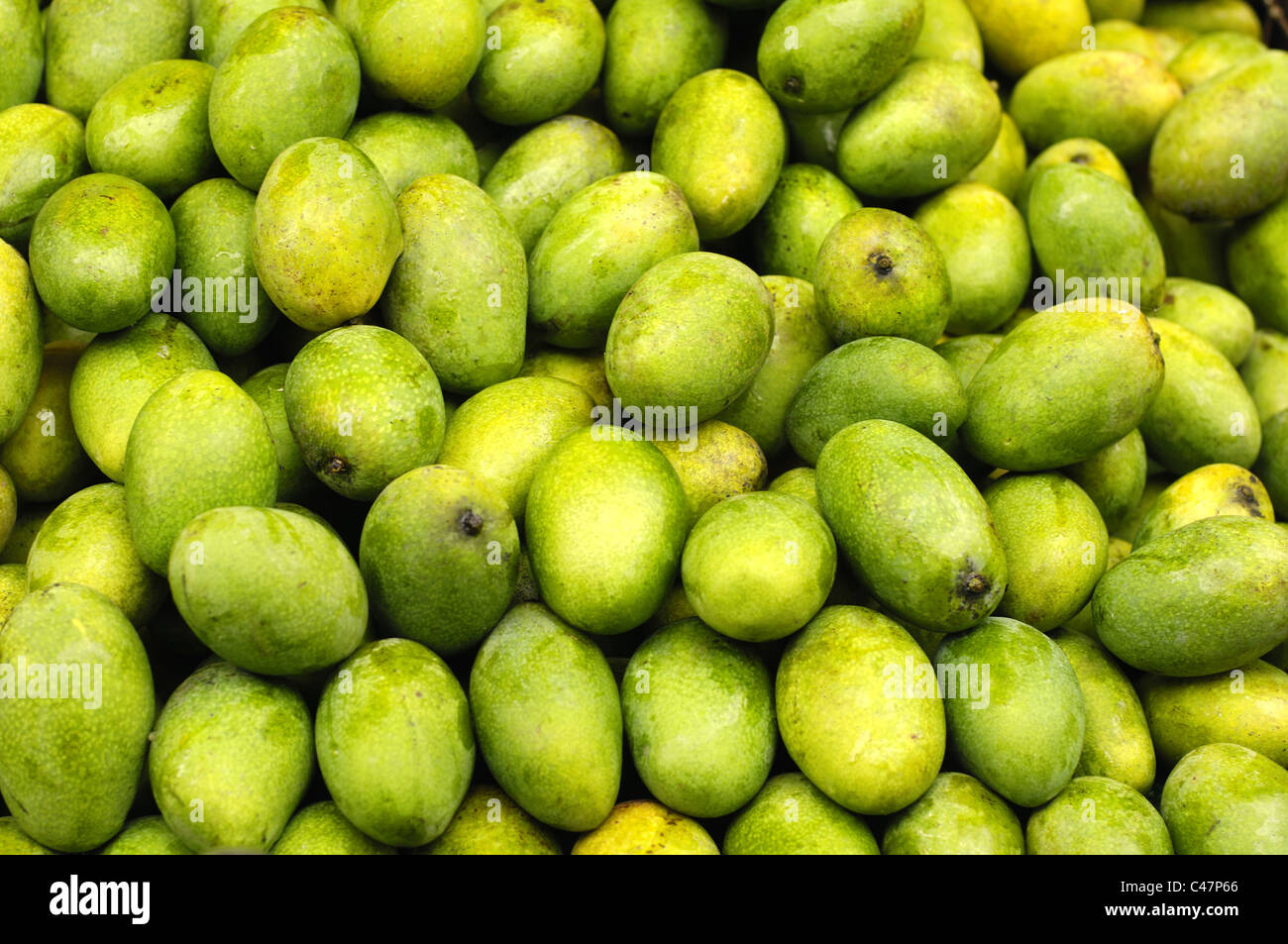 Close-up of mangoes Stock Photo - Alamy