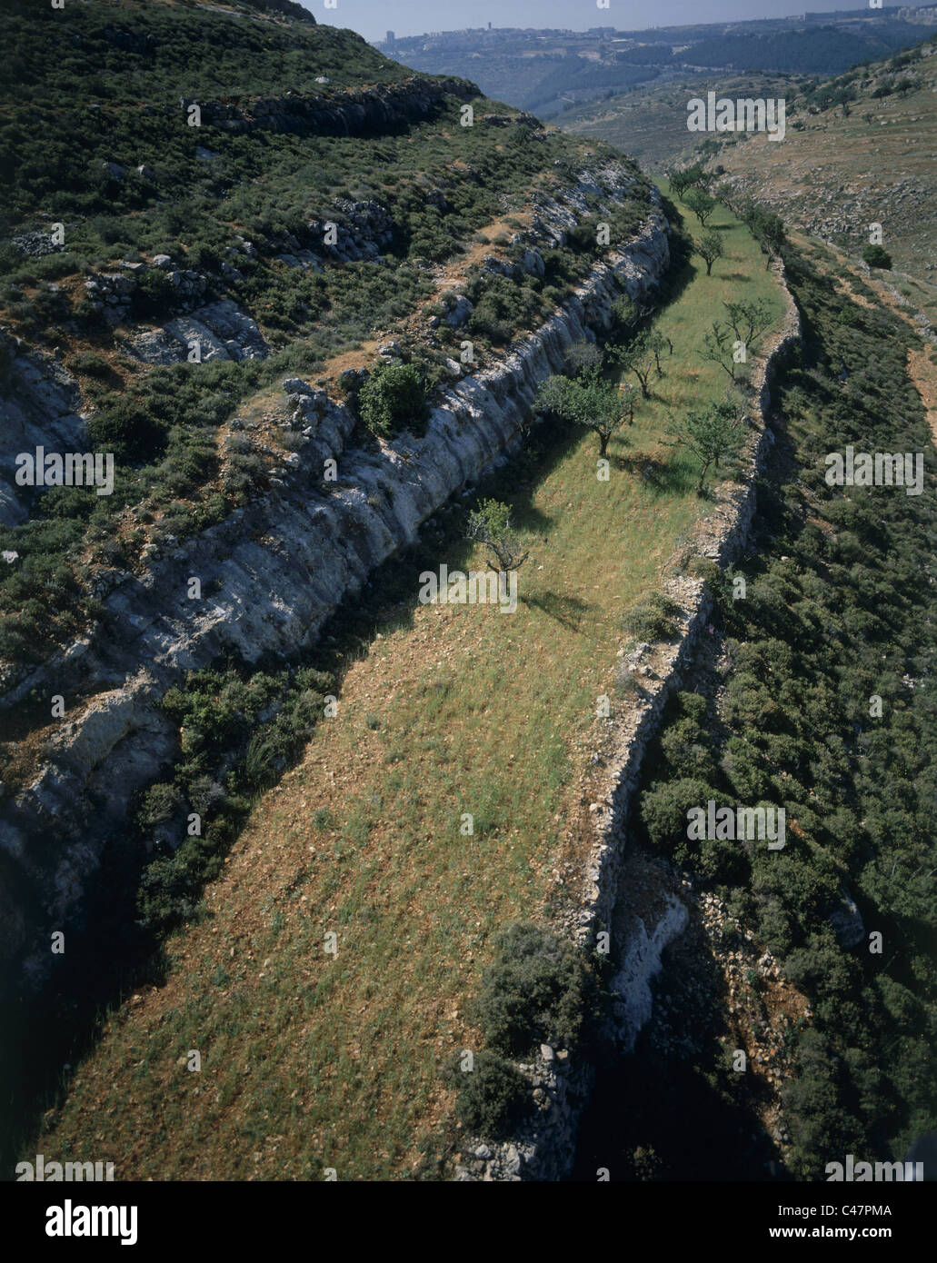 Aerial view of a typical agricultural terrace near the biblical city of ...