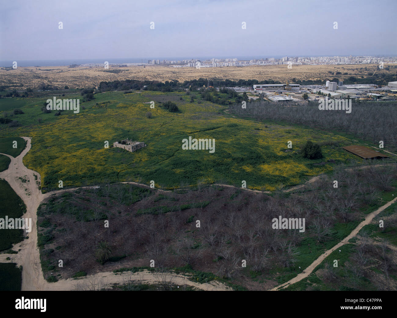 Batash hi-res stock photography and images - Alamy