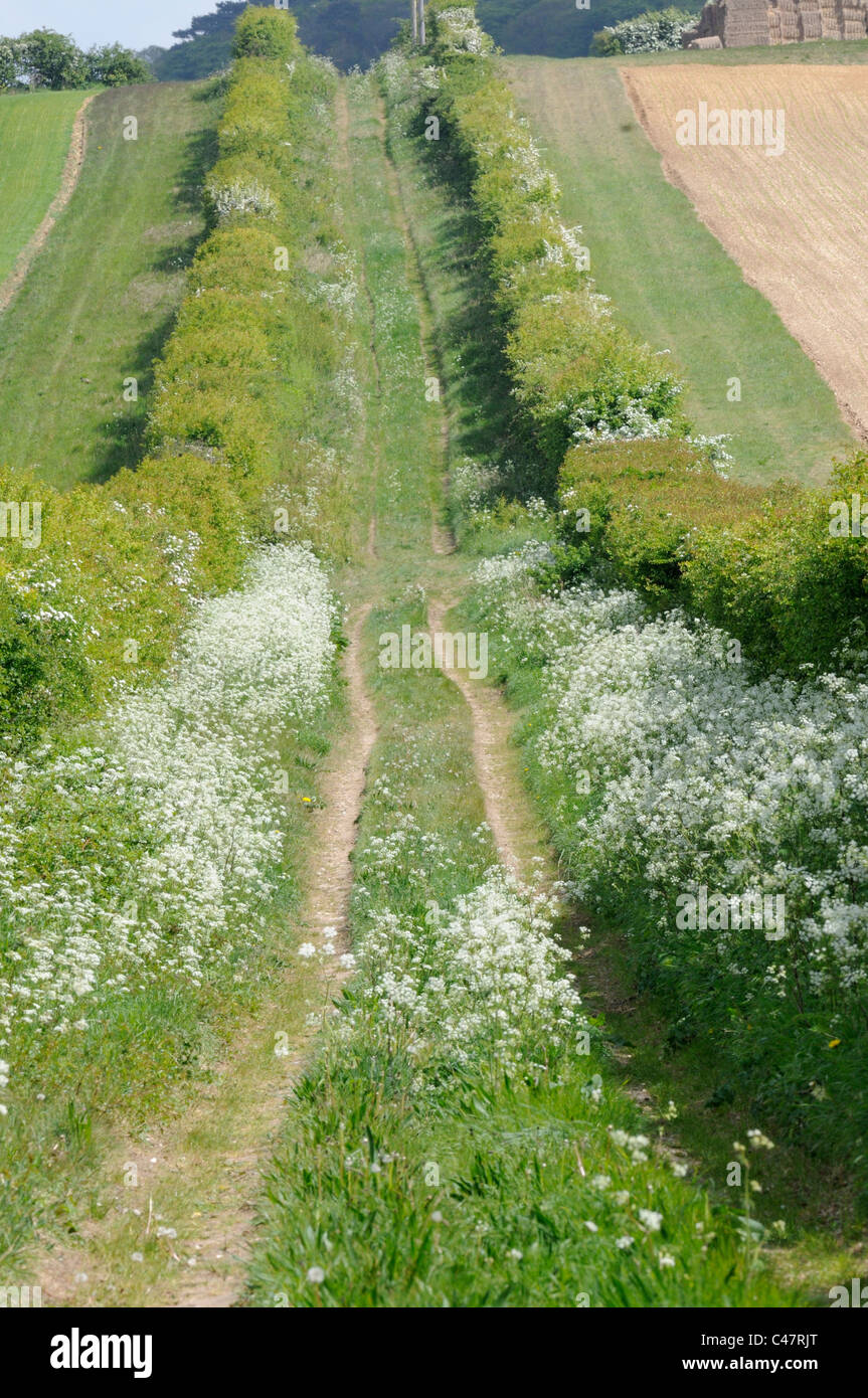 Farm track and lane hi-res stock photography and images - Alamy