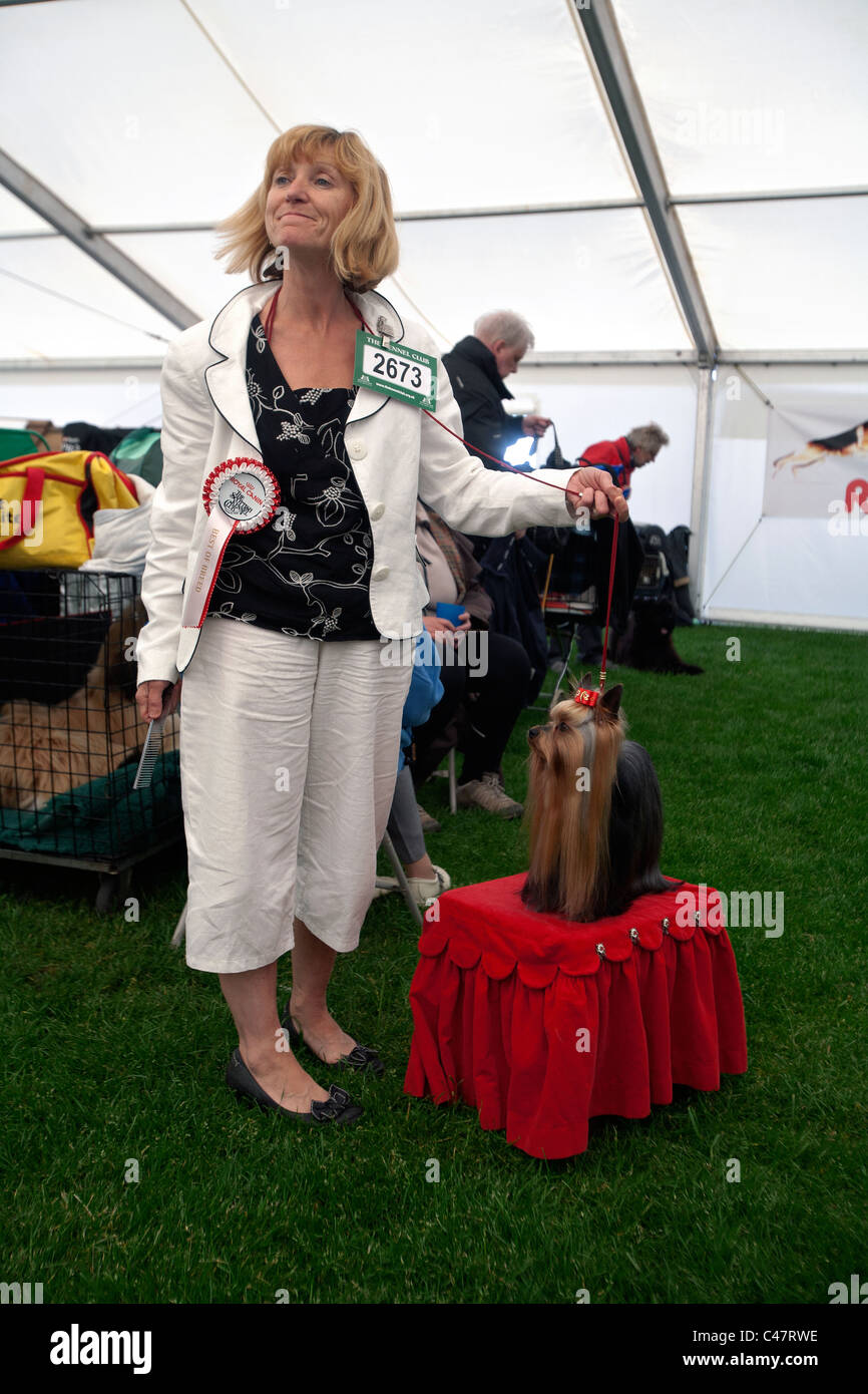 dog and owner at scottish kennel club show Stock Photo - Alamy