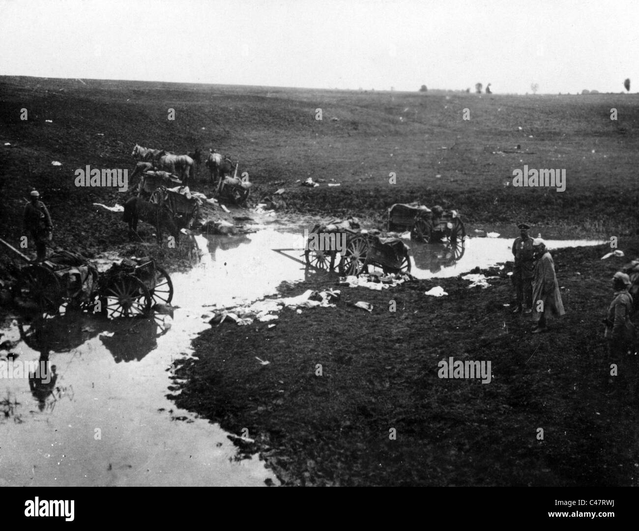 Marsh near Black and White Stock Photos & Images - Alamy