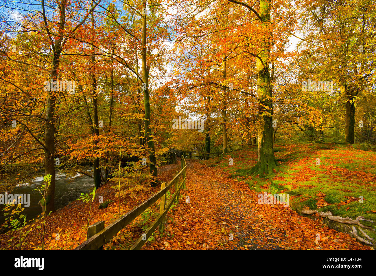 Lake district landscape forest hi-res stock photography and images - Alamy