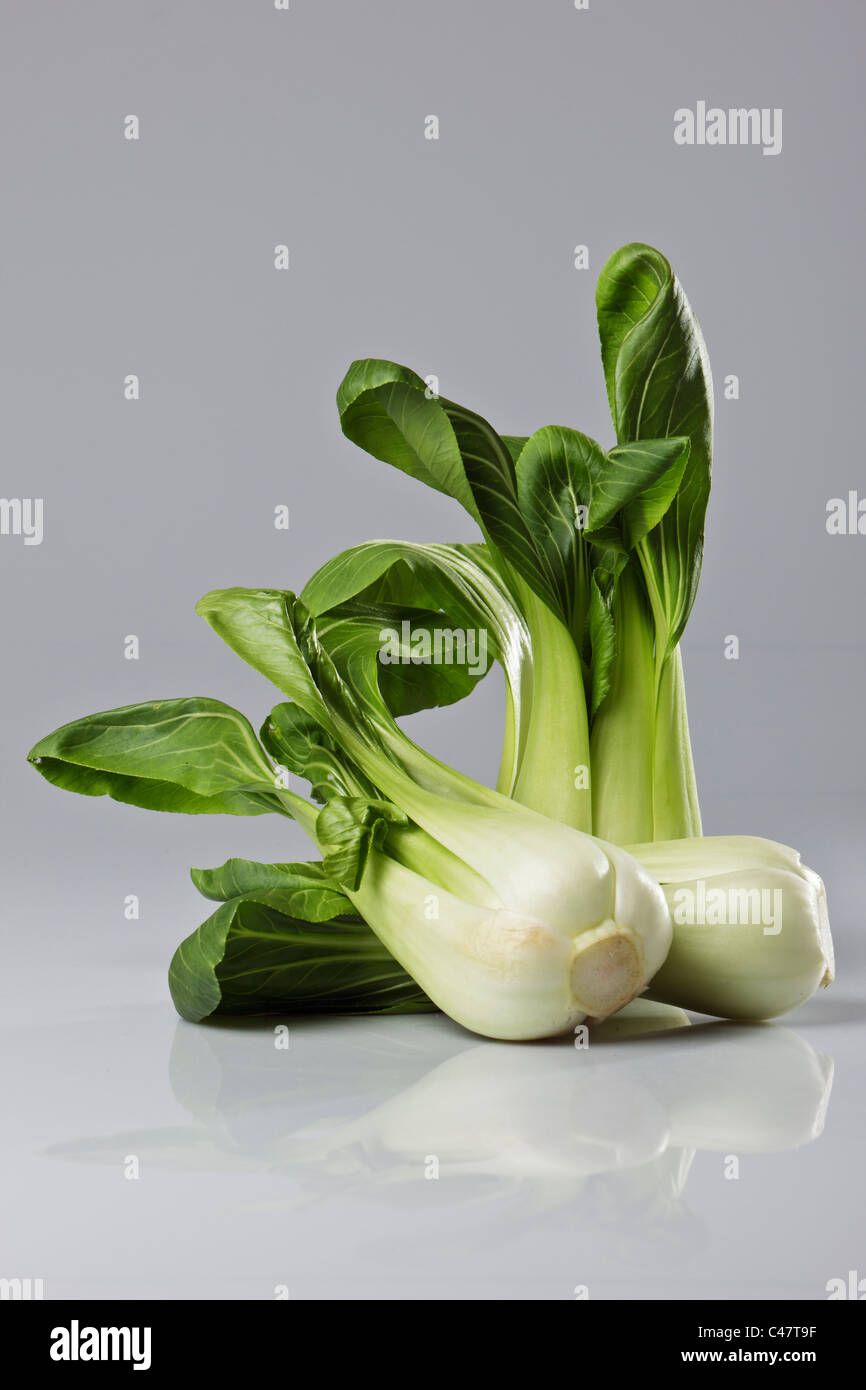 Three heads of pak choi against a grey background Stock Photo - Alamy