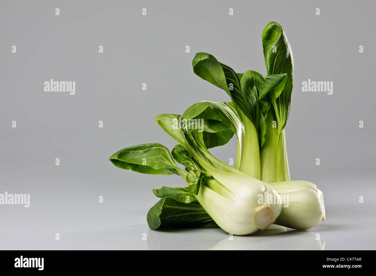 Three heads of pak choi against a grey background Stock Photo - Alamy