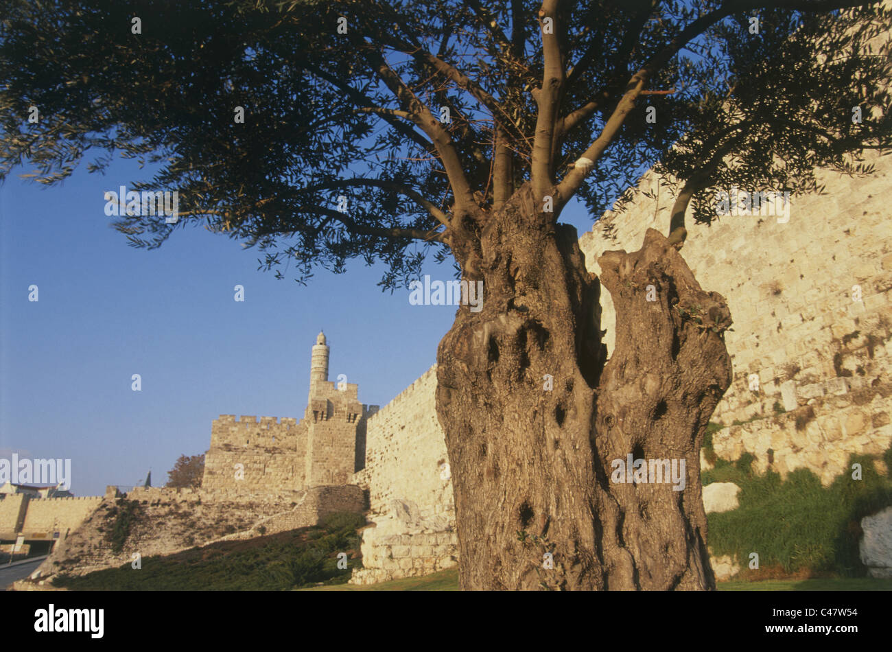 Photograph of the walls of ancient Jerusalem and the Tower of David ...
