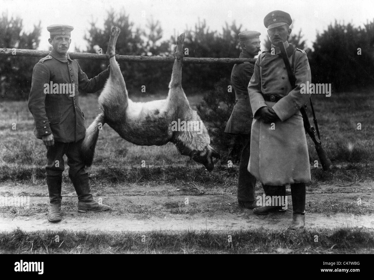 German soldiers with a slain wolf, 1917 Stock Photo - Alamy