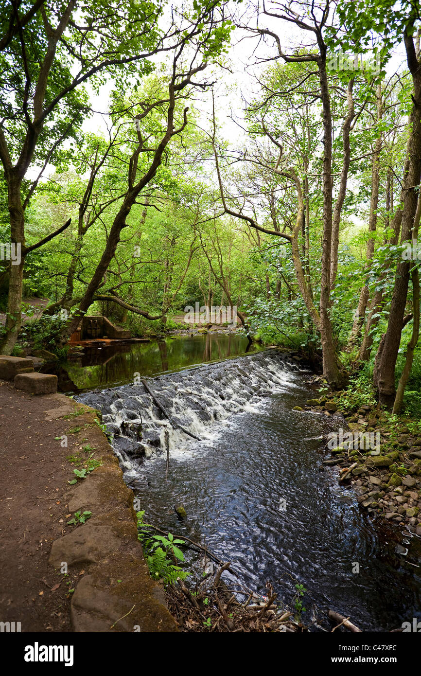 A weir on the River Rivelin Sheffield South Yorkshire UK Stock Photo ...