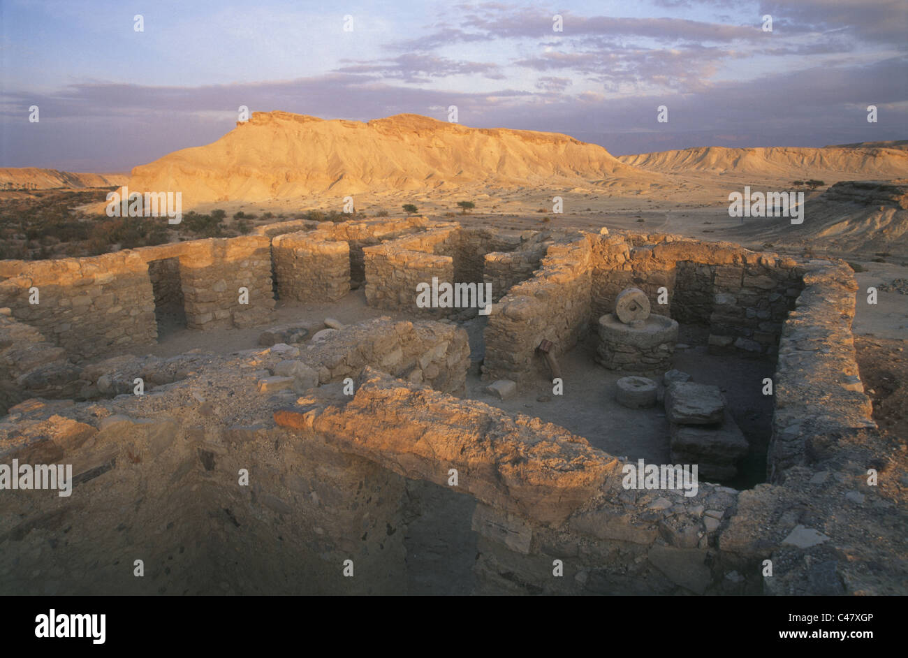 Moa sunset hi-res stock photography and images - Alamy